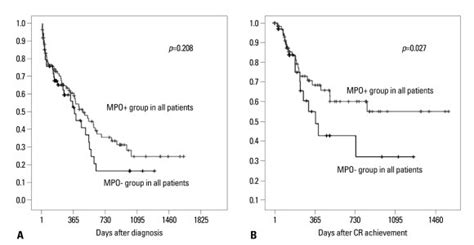 A Os By Mpo Expression At Diagnosis In Aml Patients There Were Not