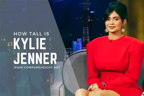 Eiffel Tower Height Comparison CompareHeight Net Eiffel Tower Height Comparison CompareHeight Net