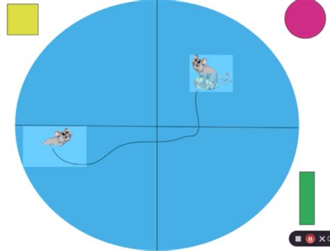 Transcription Dependent Plasticity And Memory Flashcards Quizlet