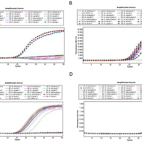 6334 Pdfs Review Articles In Multiplex Real Time Pcr