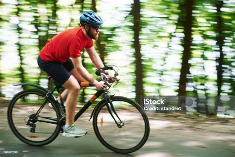 기분이 좋다 화창한 날에는 숲속의 아스팔트 도로에서 자전거를 타는 자전거 건강한 생활방식에 대한 스톡 사진 및 기타 이미지 건강한 생활방식 나무 녹색 Istock