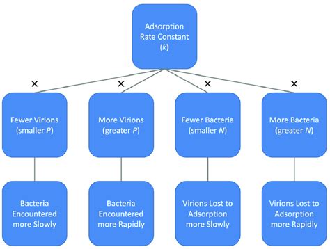 Impact Of Phage And Bacterial Concentrations On Adsorption Rates Download Scientific Diagram