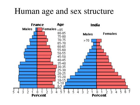 Ppt Life Tables Powerpoint Presentation Free Download Id157318