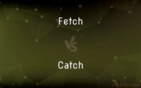 Fetch Vs Catch — Whats The Difference