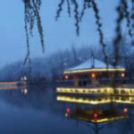 matlab中lnlg函数怎么表示 CSDN博客