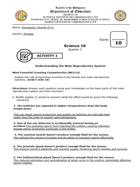 2425 Q3 A1 Understanding The Male Reproductive System Pdf