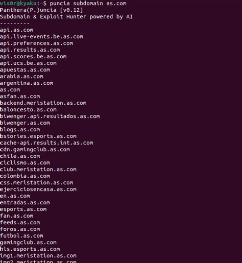 Puncia Herramienta Para Obtener Subdominios Y Exploits Impulsada Por