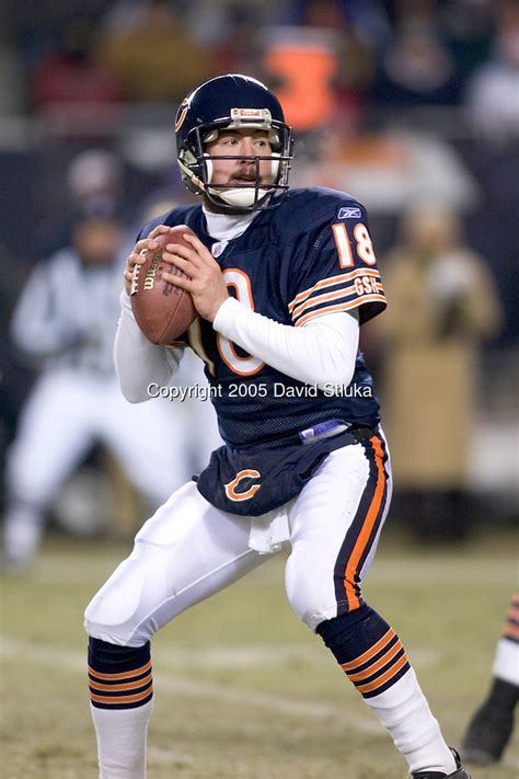 Kyle Orton Bears