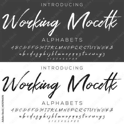Hand Drawn Vector Alphabet Script Font Isolated Letters Written With Marker Ink Calligraphy