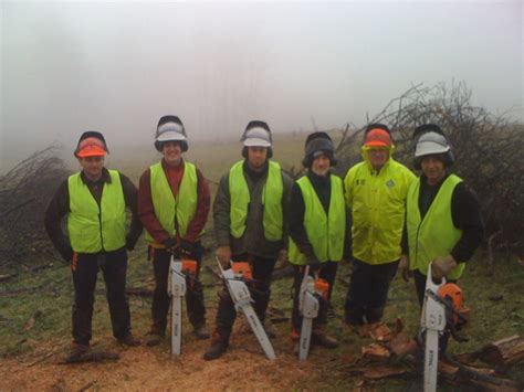 Chainsaw Course Activities Chainsaw Hard Hat