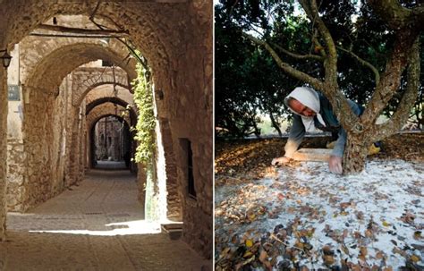 Chios Tourists Will Have A Special Culinary Experience On September 3