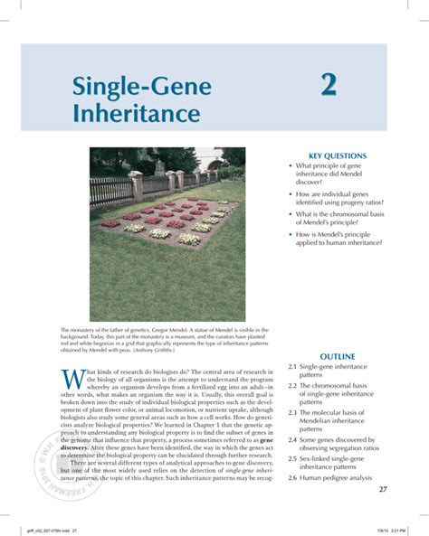 Single Gene Inheritance Single Gene Inheritance