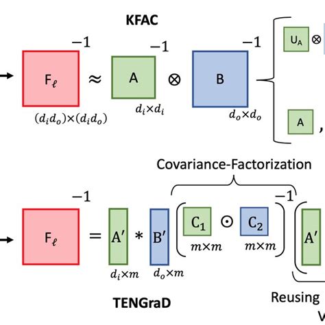 The Tengrad Method Vs Kronecker Factored Approaches For A Fully Download Scientific Diagram