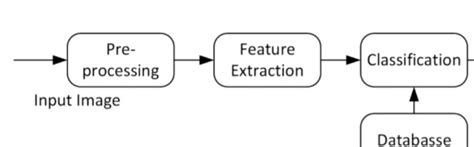 Face Recognition Process Ii Problem Definition Download Scientific