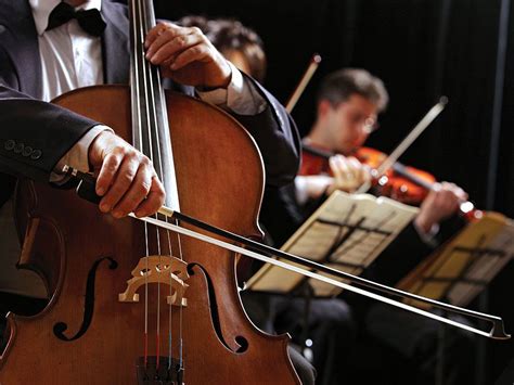 Musical Instrument History Characteristics Examples And Facts