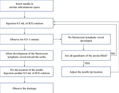 Flowchart Detailing The Repetitive Injection Observation Protocol