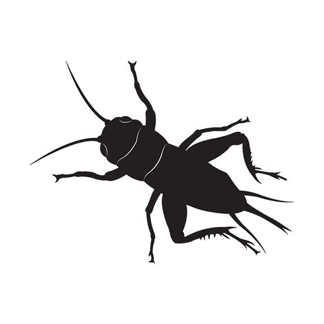Cricket Insect Icon Illustration Design Template 46968328 Vector Art At