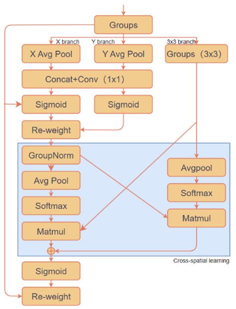 yolov5s bipcnext a lightweight model for detecting disease in eggplant leaves