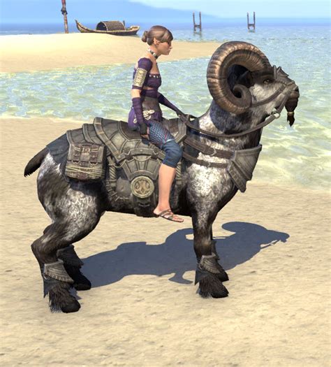 Eso Fashion Nibenay Bay Ram Elder Scrolls Online