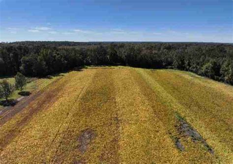 Agronomic Services Division Make Strides In Implementing New Technology That Allows Regional