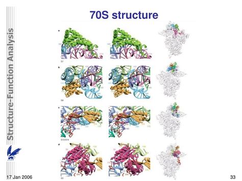 Ppt Dna Protein Structure Function Analysis And Prediction Powerpoint Presentation Id 2962113