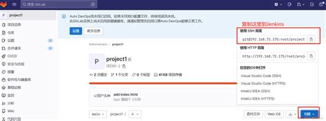 Jenkins部署及应用 CSDN博客