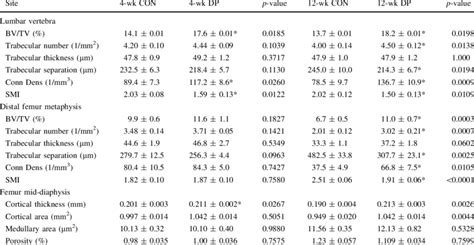 Microct Analyses Of Trabecular And Cortical Bone Microarchitecture