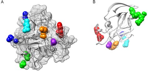 Figures And Data In Interferon Lambda 4 Impacts The Genetic Diversity
