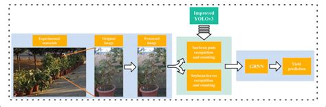 Flowchart Of The Soybean Yield Prediction Method Download Scientific Diagram