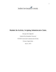 CYB 300 Module Six Activity Alex Fagbayide Docx 1 Module Six Activity