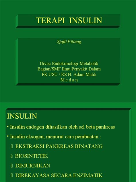 Terapi Insulin Pdf