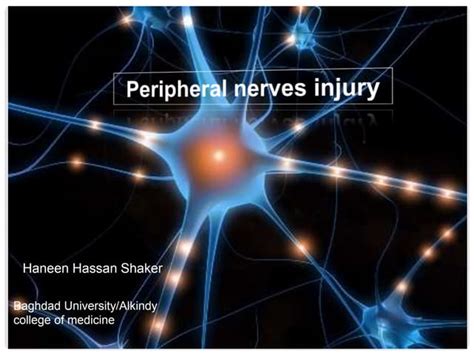 Introduction To Periphral Nervous Sys Ppt