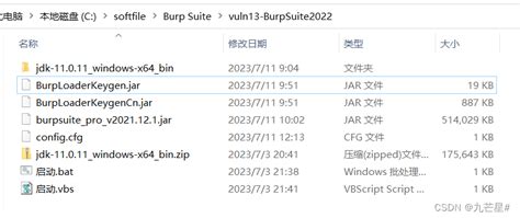 【网络安全】burpsuite V2021121安装and激活and配置and快捷启动burpsuite激活 Csdn博客