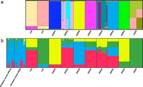 Clustering Of Hop Individuals Based On Multilocus Analysis Using