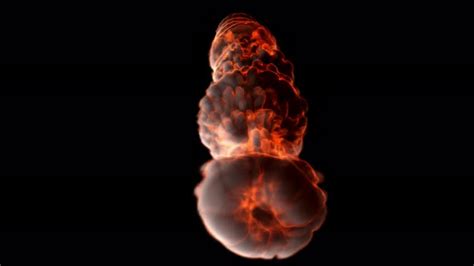 Cylindrical Shape Explosion 4k Motion Graphics Videohive