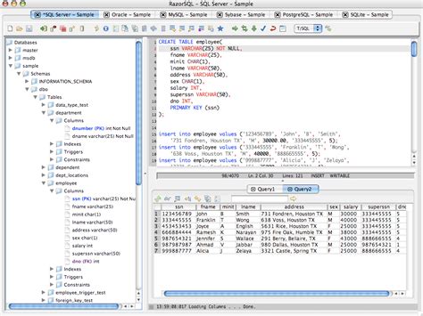 razorsql import half the data gracejawer