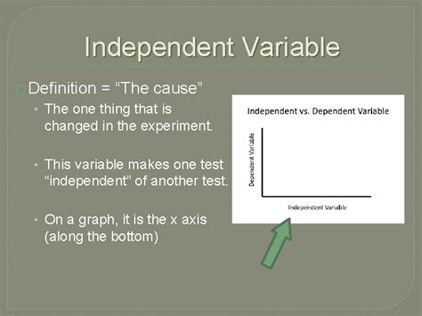 Independent Variable