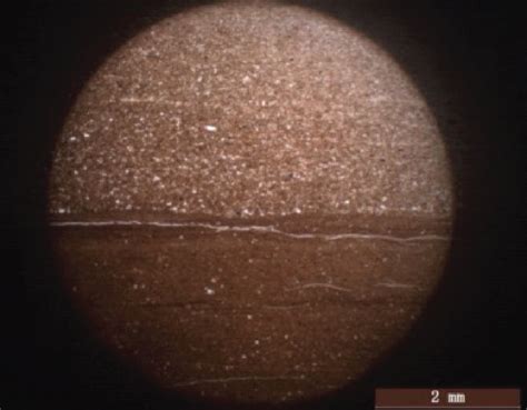 Development Characteristics Of Fine Grained Sedimentary Rocks In The Download Scientific