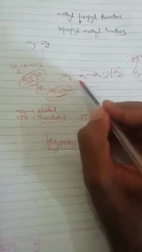 Diethyl Thioether And Isopropyl Methyl Thioether Are Filo