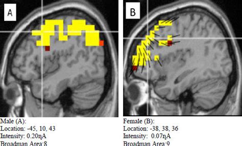 Source Of Moral Cognition Processing In Males And Females For Neutral Download Scientific