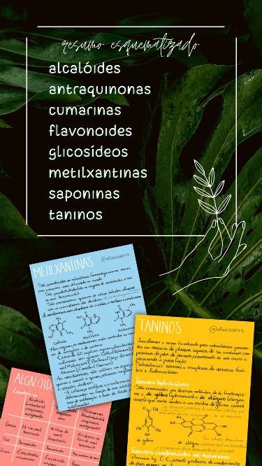 Farmacognosia Resumo Esquematizado