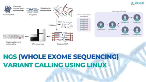 Hands On Ngs Whole Exome Sequencing Variant Calling Using Linux Biocode