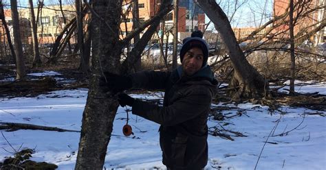 Geospatial Field Methods Distance Azimuth Survey