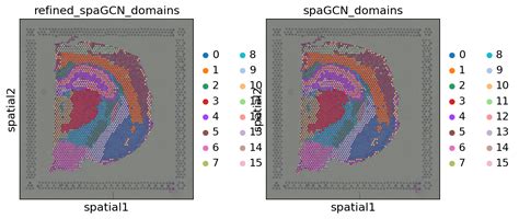 28 Spatial Domains — Single Cell Best Practices
