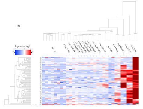 Experimental Analysis With Different Concentrations Of Rna From Two