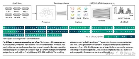 每日文摘 2023年03月26日 知乎