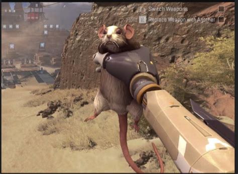 We Need To Name Ashs Rat Harold R Apexlegends