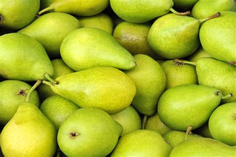 HerTelden: Armut nedir? Hakkinda hersey