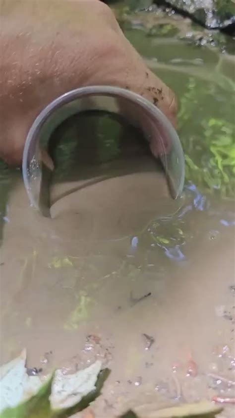 Filter Water Album On Imgur