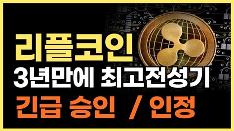 리플코인 이제 리플은 황금기를 향해 나아가고 있습니다 Youtube